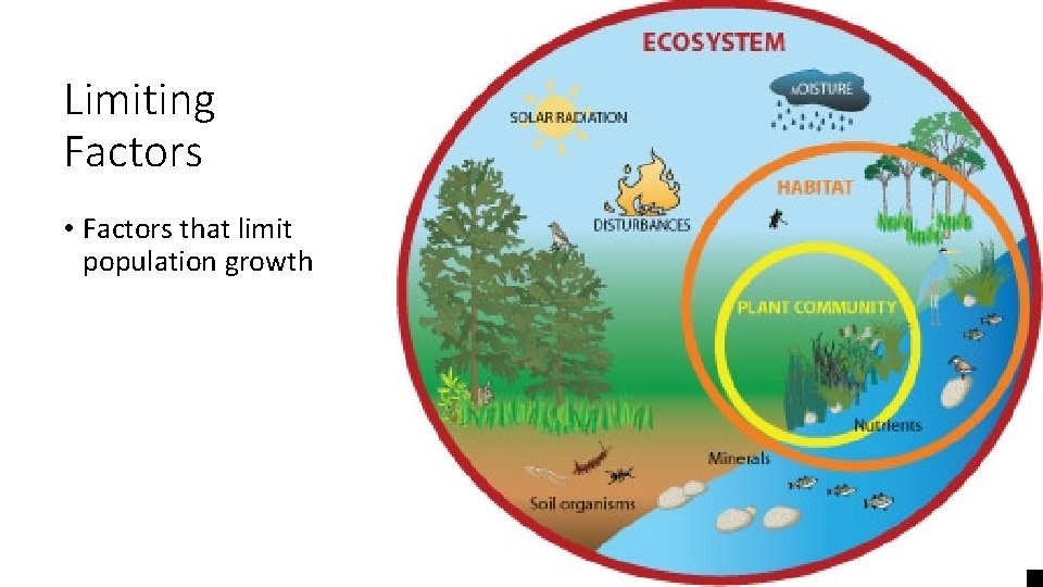 Living Things the Environment Populations are affected by