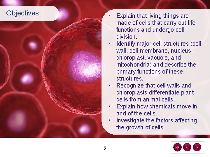 Cells 1 2 Objectives Explain that living things