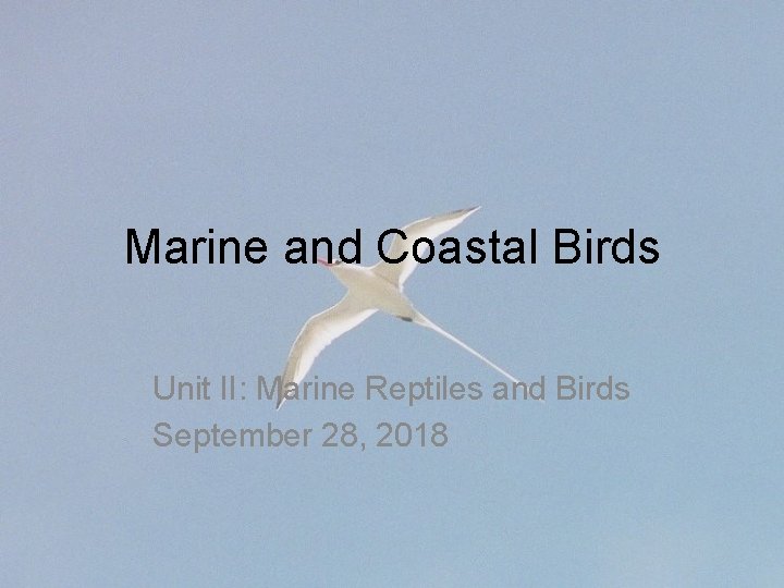 Marine Biology Do Now 9 28 18 Directions