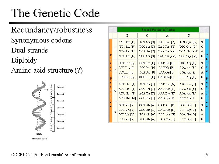 OCCBIO 2006 Tutorial Fundamental Concepts of Bioinformatics Michael