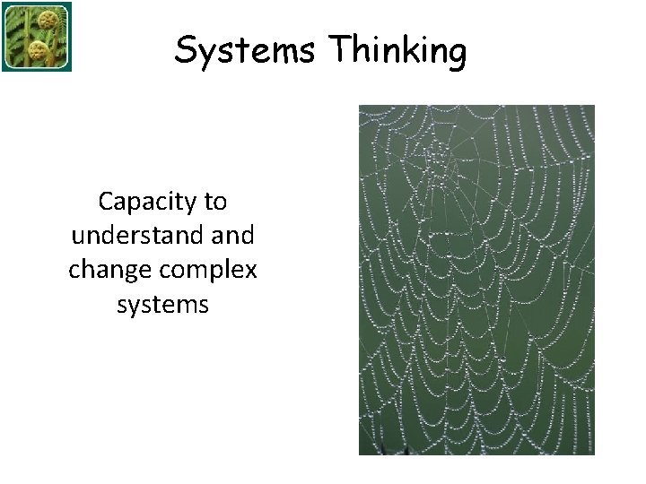 Intro to Biomimicry and Systems Thinking What is