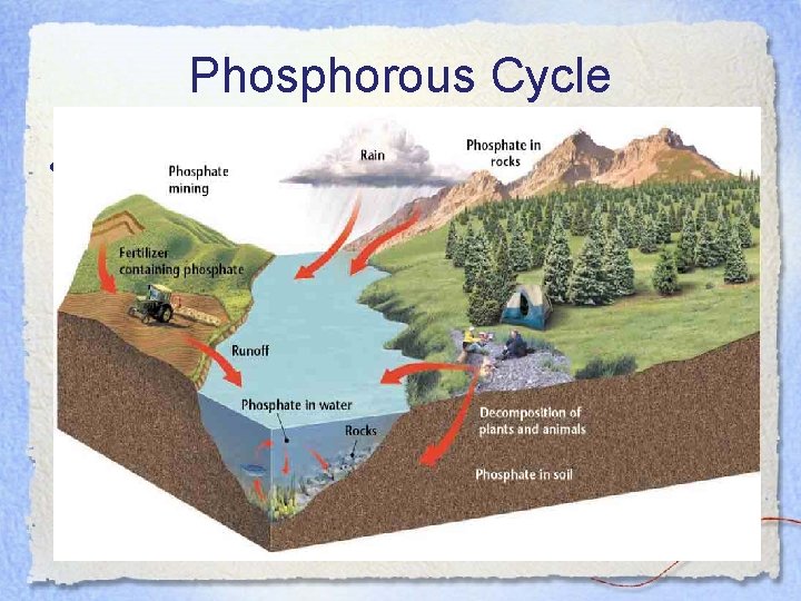 Biogeochemical Cycles Cycling of materials between the environment