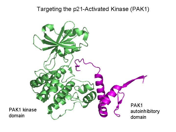 Protein Design with Backbone Optimization Brian Kuhlman University