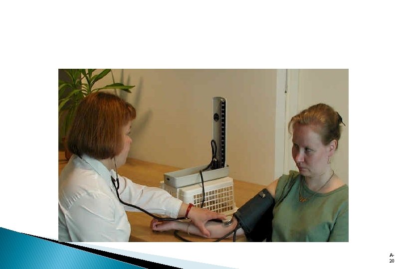 Vital signs 1 Outlines Pulse Respiration Temperature Blood