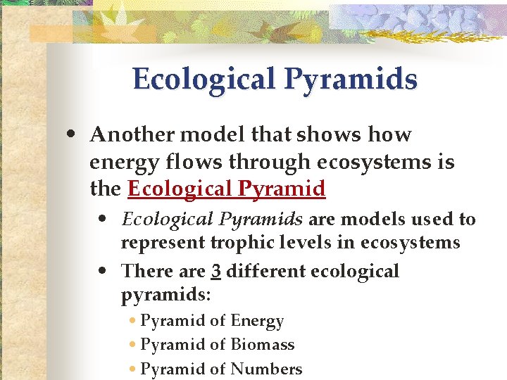 Ecological Pyramids Chapter 2 Section 2 b Learning
