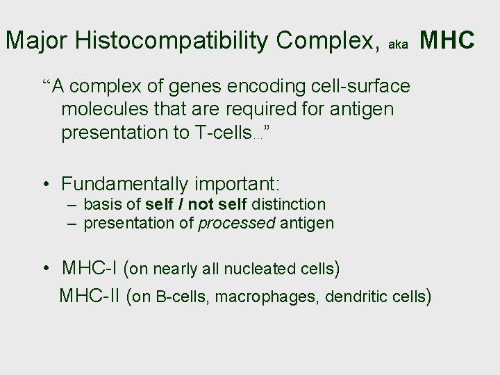 Major Histocompatibility Complex aka MHC A complex of