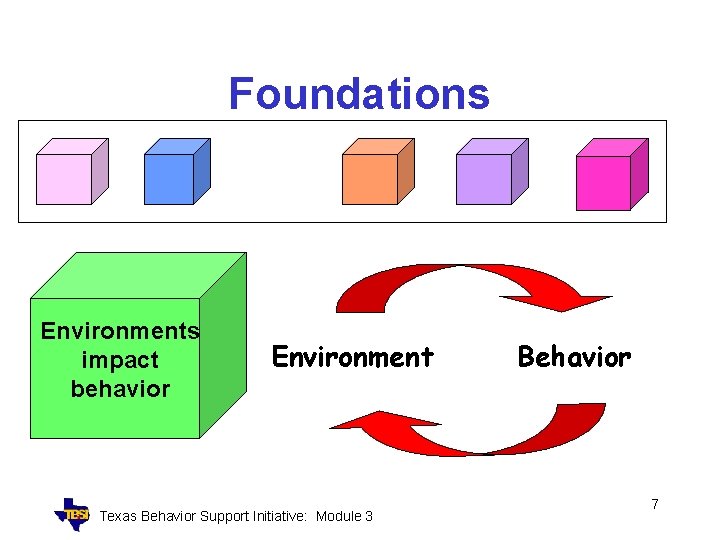 Module 3 Individual Interventions Texas Behavior Support Initiative