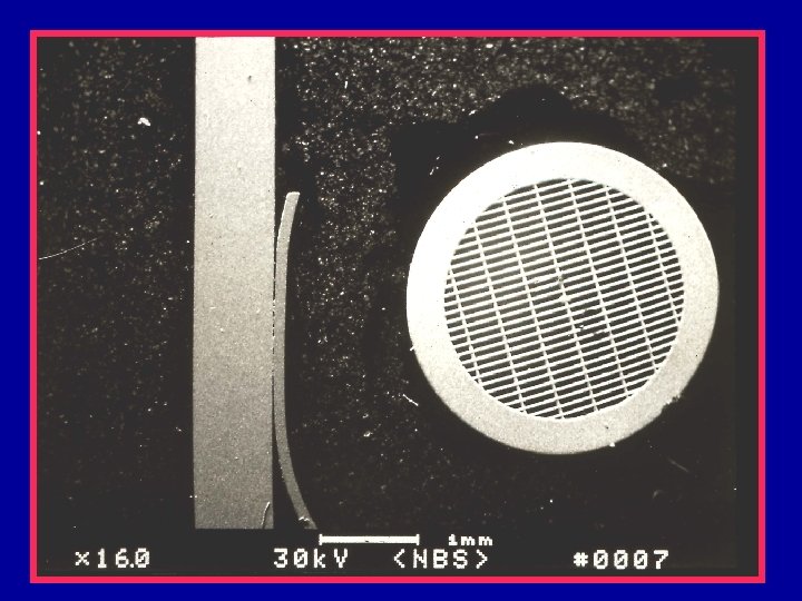 Sem Magnification Calibration Magnification Errors Proper Calibration Of