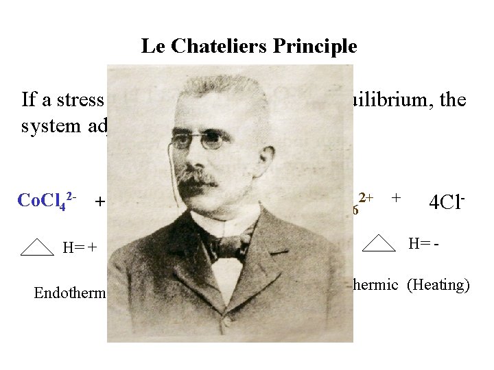 Chemical Equilibrium A reversible reaction can go in