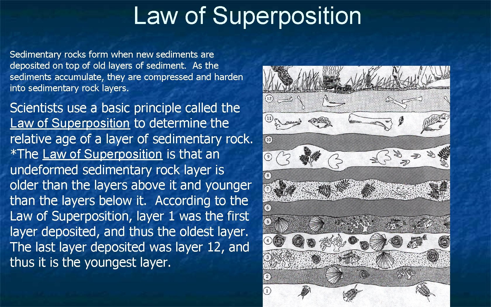 Unit 5 Age of the Earth Objective E