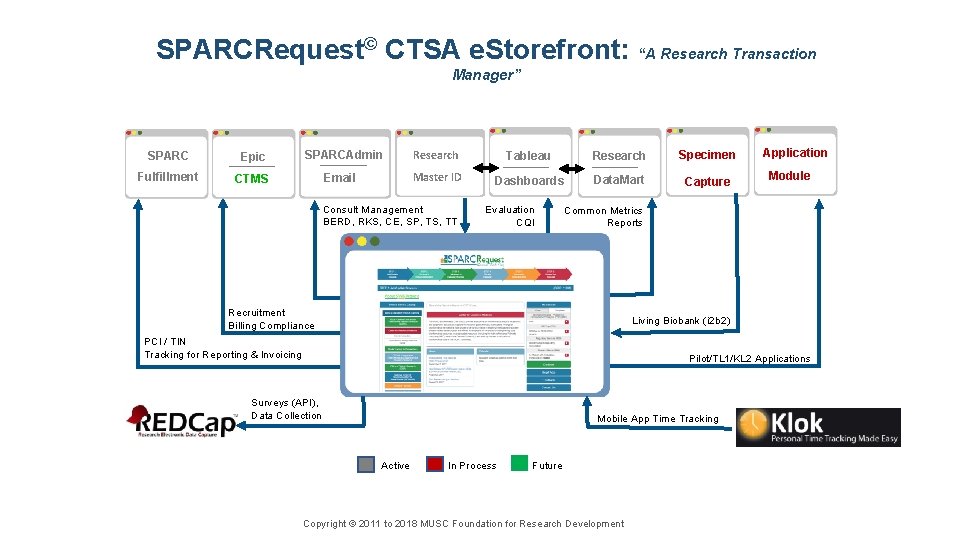 Developing a Sustainable Open Source Community in an