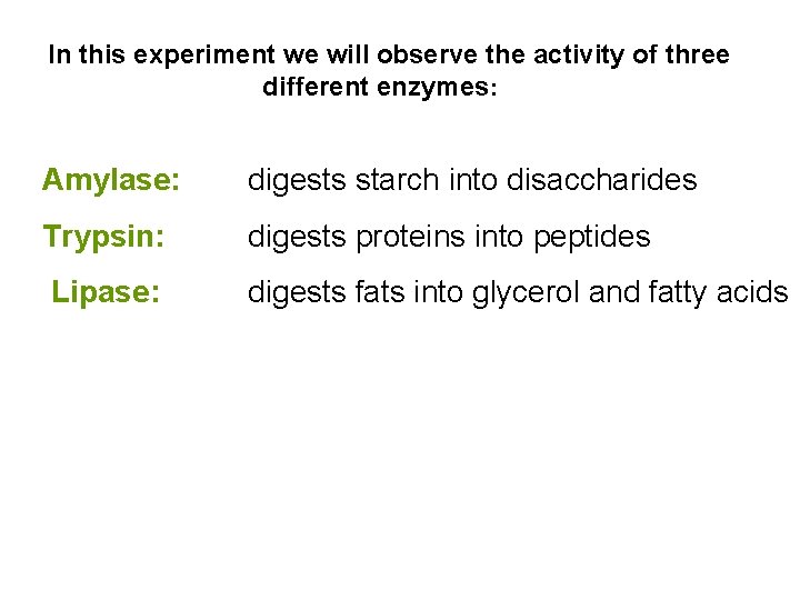 BIOL 204 Lab For Week 12 Digestive Enzymes