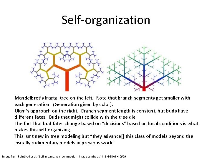 Selforganizing tree models Based on Palubicki et al