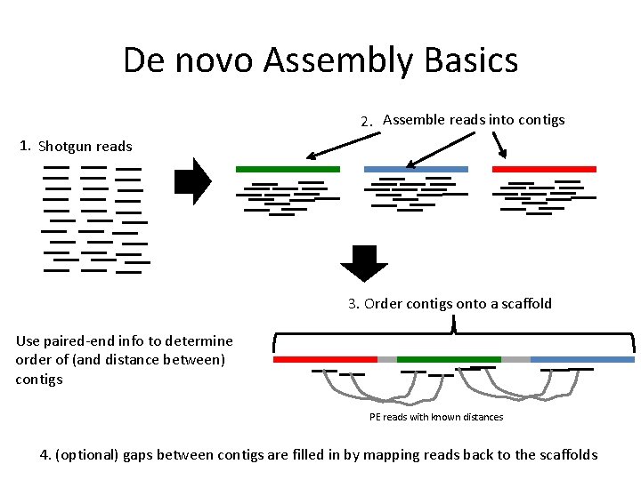 De Novo Genome Assembly Using Next Generation Sequence