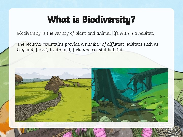 What is Biodiversity Biodiversity is the variety of
