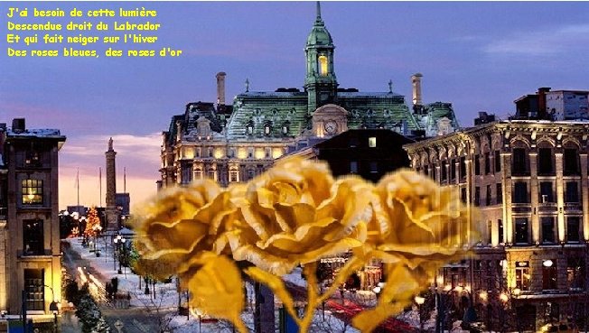 Robert Charlebois 1976 Cration Jean Schwaenen Je reviendrai