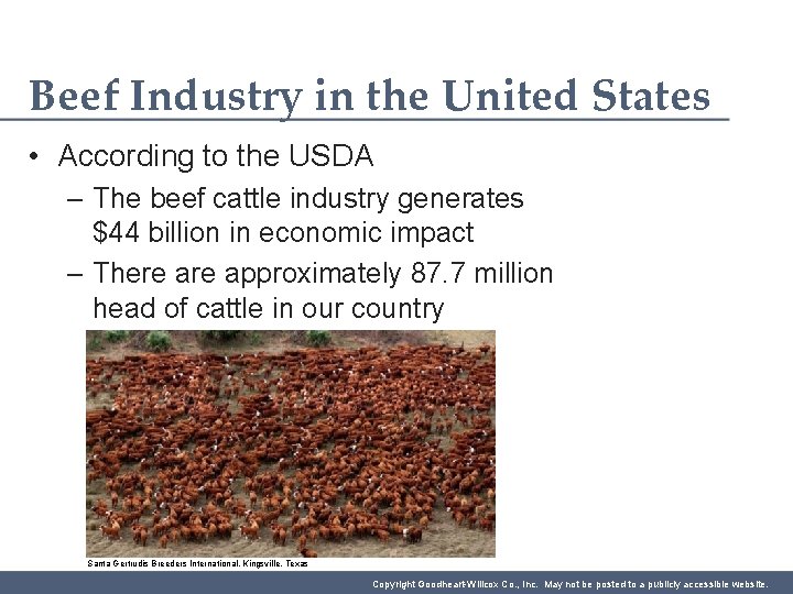 Lesson 10 1 Beef Industry Lesson Outcomes Understand