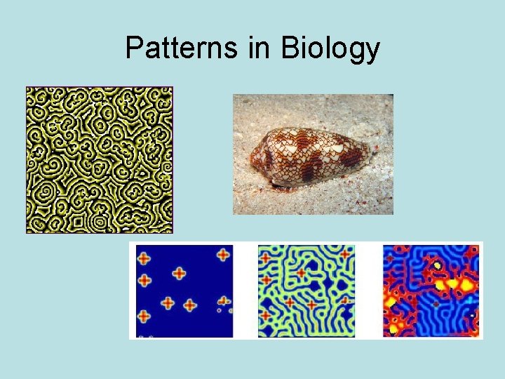 Agent Based Modeling ABM in Complex Systems George