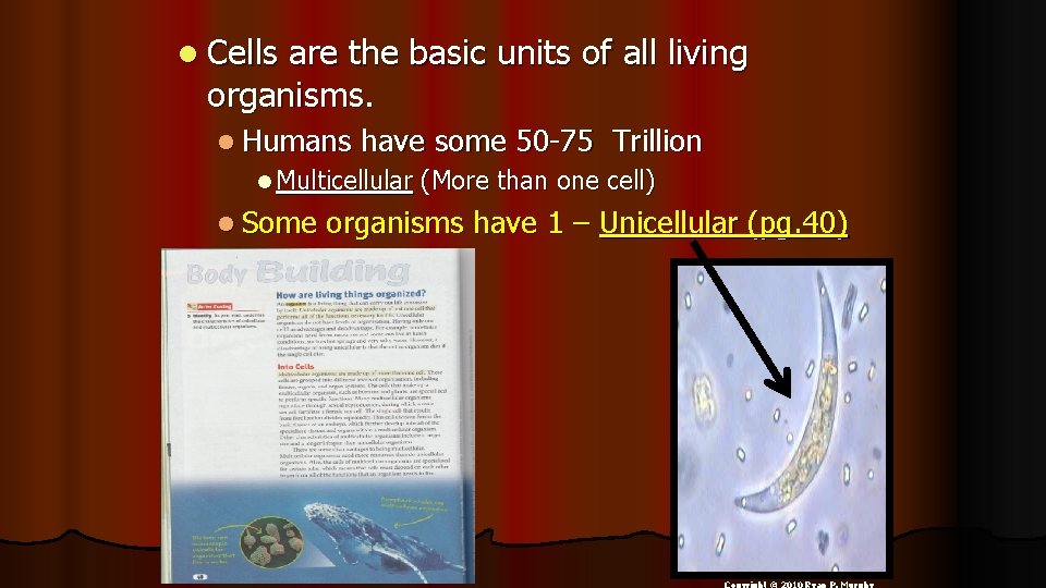Cell Basics and Levels of Biological Organization Lesson