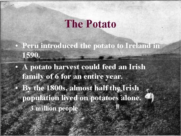 The Irish Potato Famine 1845 1848 Background on