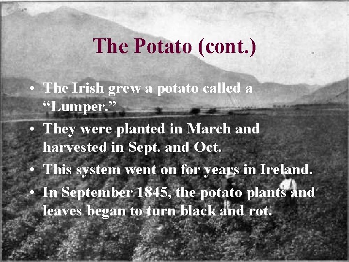 The Irish Potato Famine 1845 1848 Background on