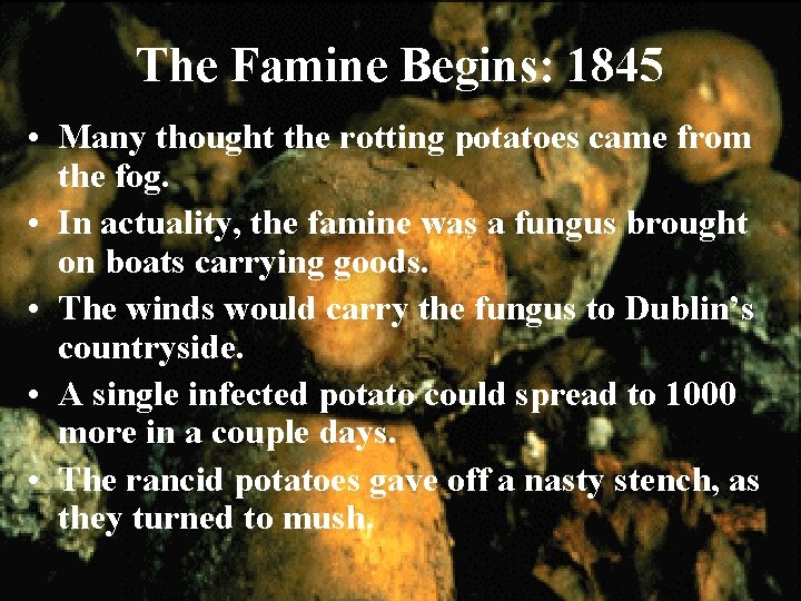 The Irish Potato Famine 1845 1848 Background on