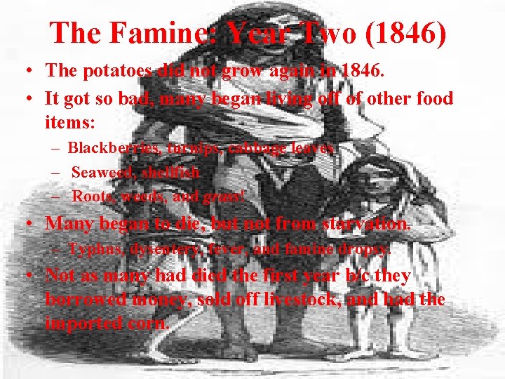 The Irish Potato Famine 1845 1848 Background on