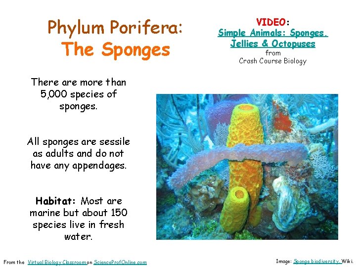 About Science Prof Online Power Point Resources Science