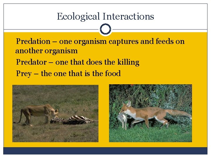 Chapter 4 Ecosystems Communities CLIMATE ECOSYSTEMS BIOMES What