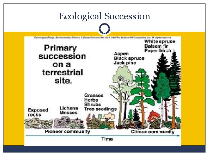 Chapter 4 Ecosystems Communities CLIMATE ECOSYSTEMS BIOMES What