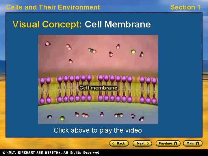 Cells and Their Environment Section 1 Cell Membrane
