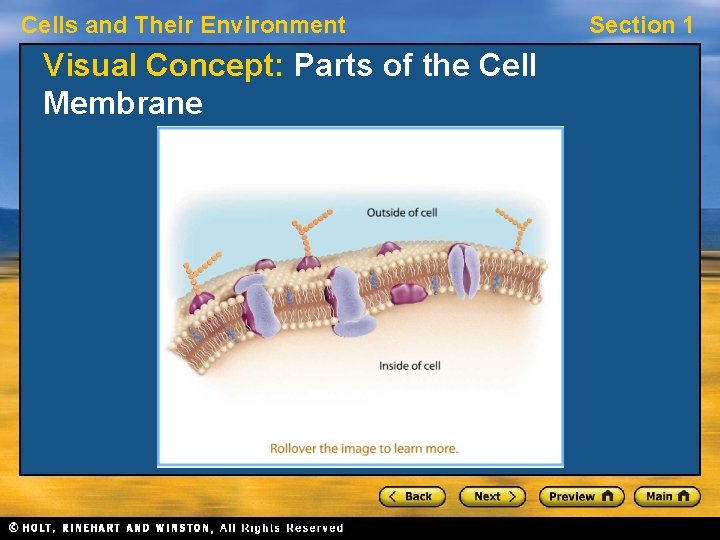 Cells and Their Environment Section 1 Cell Membrane