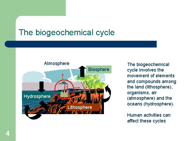 Lesson 4 The Biogeochemical Cycle Chemical Oceanography Last