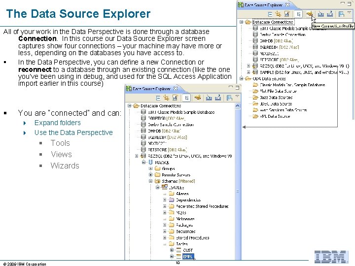 IBM Software Group RDz Workbench Using the Data