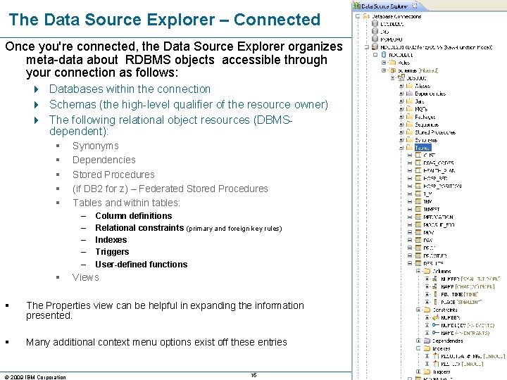 IBM Software Group RDz Workbench Using the Data