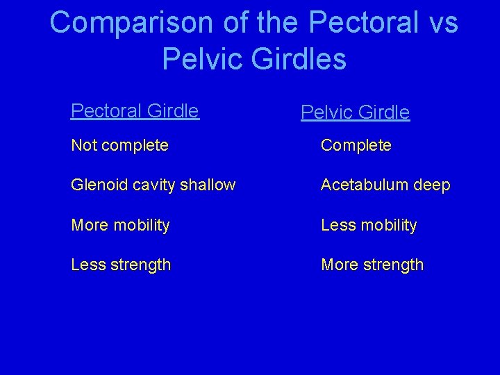 Anatomy and Physiology I Bones of the Pelvic