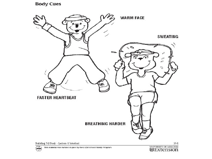 Grade 3 Building My Body Use My Activity