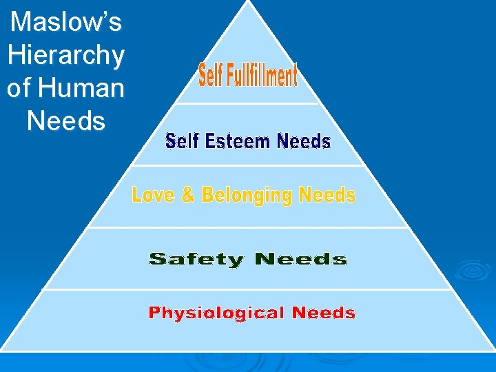 Basic Human Needs Abraham Maslow Famous Psychologist Most