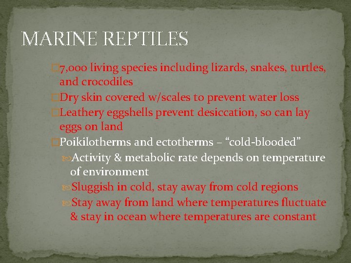 Marine Reptiles Birds and Mammals Land vertebrates came