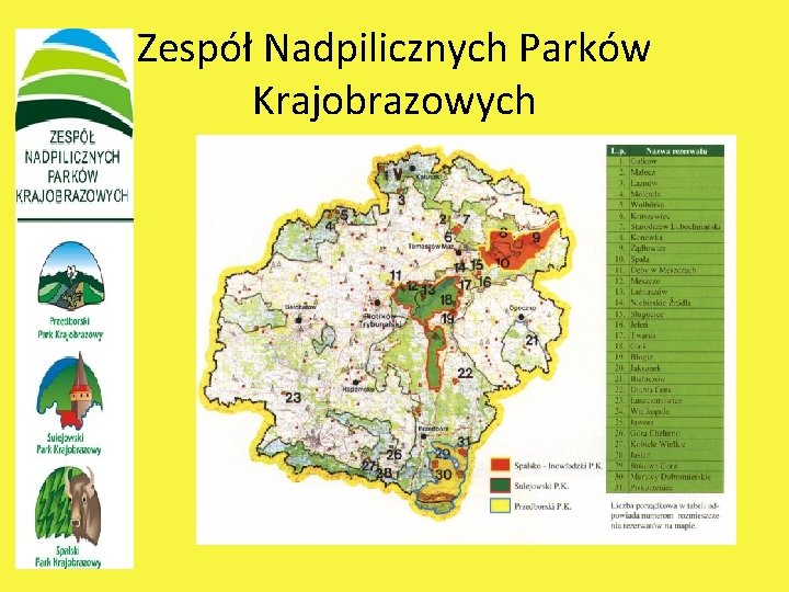 Walory przyrodniczoturystyczne Ziemi Przedborskiej Zesp Nadpilicznych Parkw Krajobrazowych