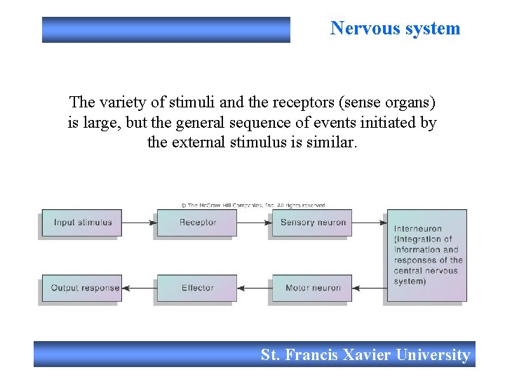 Biology 201 Dr Edwin De Mont Communication I