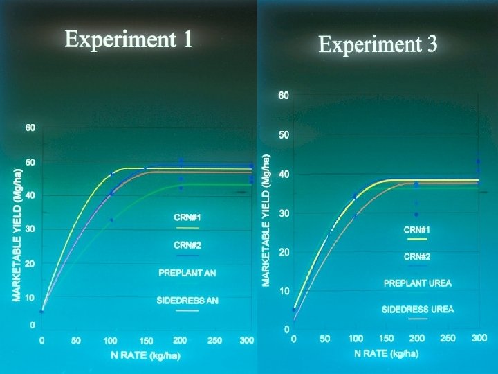 Nutrient Management Strategies for Vegetable Production in Desert