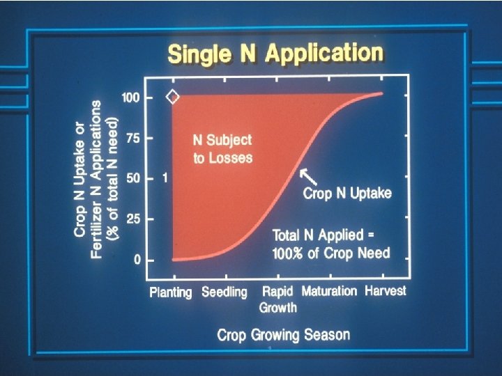 Nutrient Management Strategies for Vegetable Production in Desert