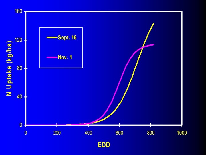 Nutrient Management Strategies for Vegetable Production in Desert