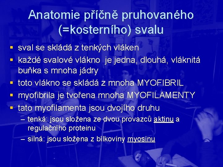 Pohybov soustava semin pro Septimu A 2006 Typy