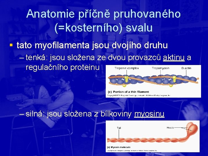 Pohybov soustava semin pro Septimu A 2006 Typy
