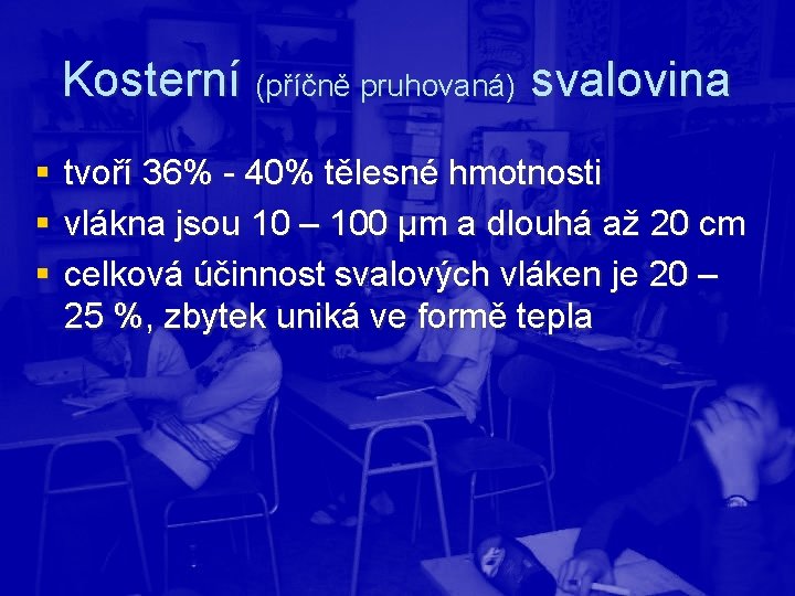Pohybov soustava semin pro Septimu A 2006 Typy