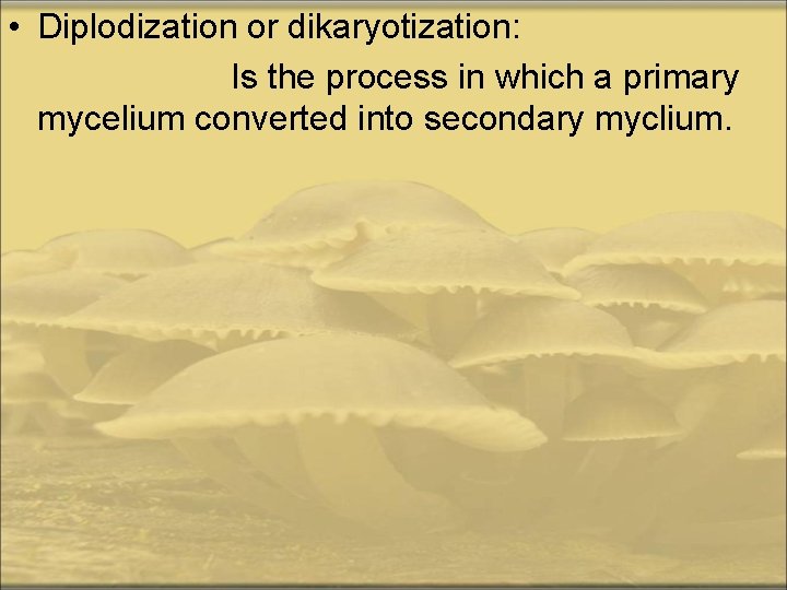 Phylum Basidiomycota General Characters 1 The Sexual Reproduction