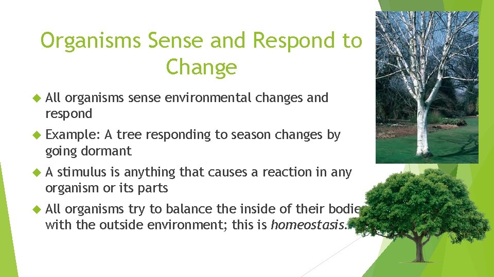 Living and NonLiving Organisms Made by Camden Mod
