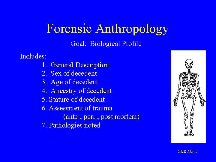 CHE 113 FORENSIC ANTHROPOLOGY A Very Brief Overview